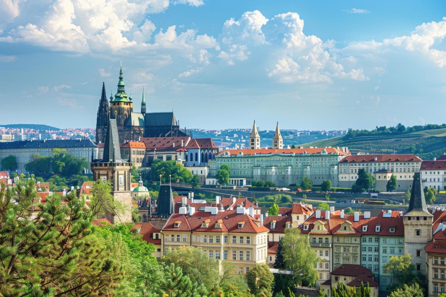 Blue Whale Migration – Your overseas career partner