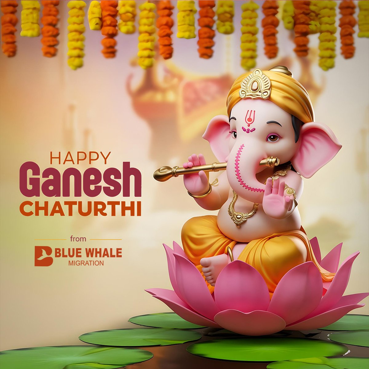 Blue Whale Migration – Your overseas career partner